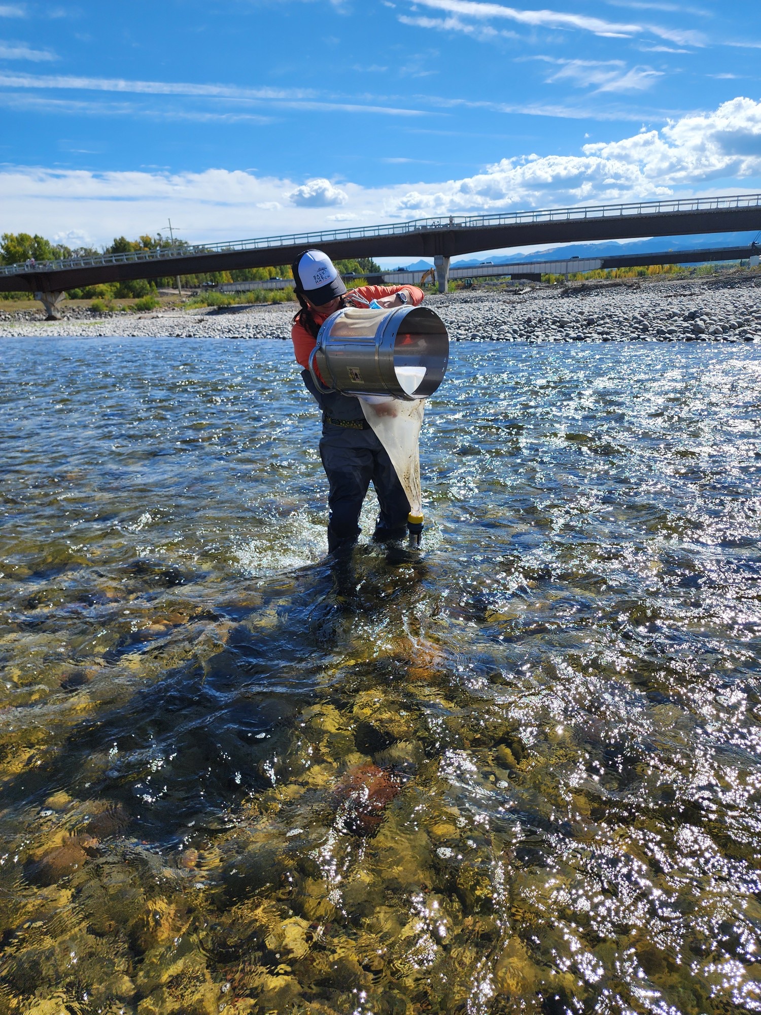 Our Work – The Salmonfly Project